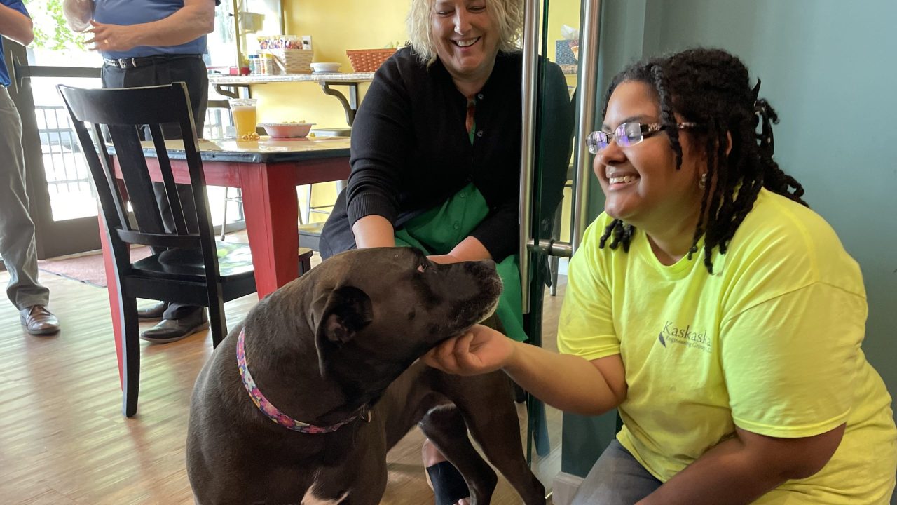 KEG Dogs | Kaskaskia Engineering